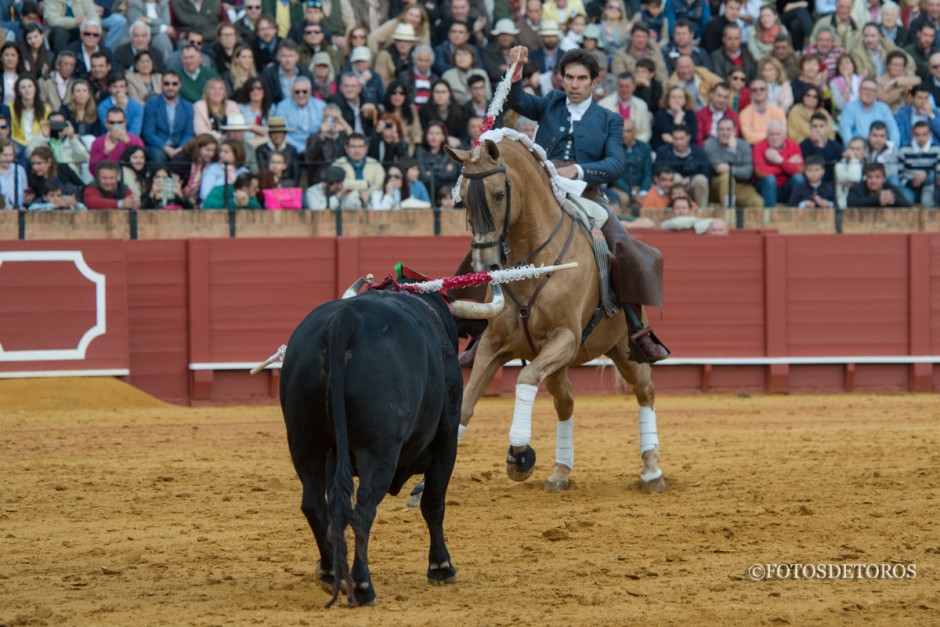 Cuadra de caballos de Sergio Galán rejoneador torero