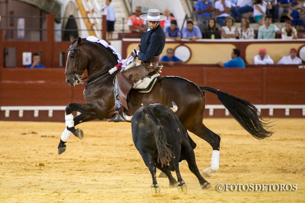 Cuadra de caballos de Sergio Galán rejoneador torero