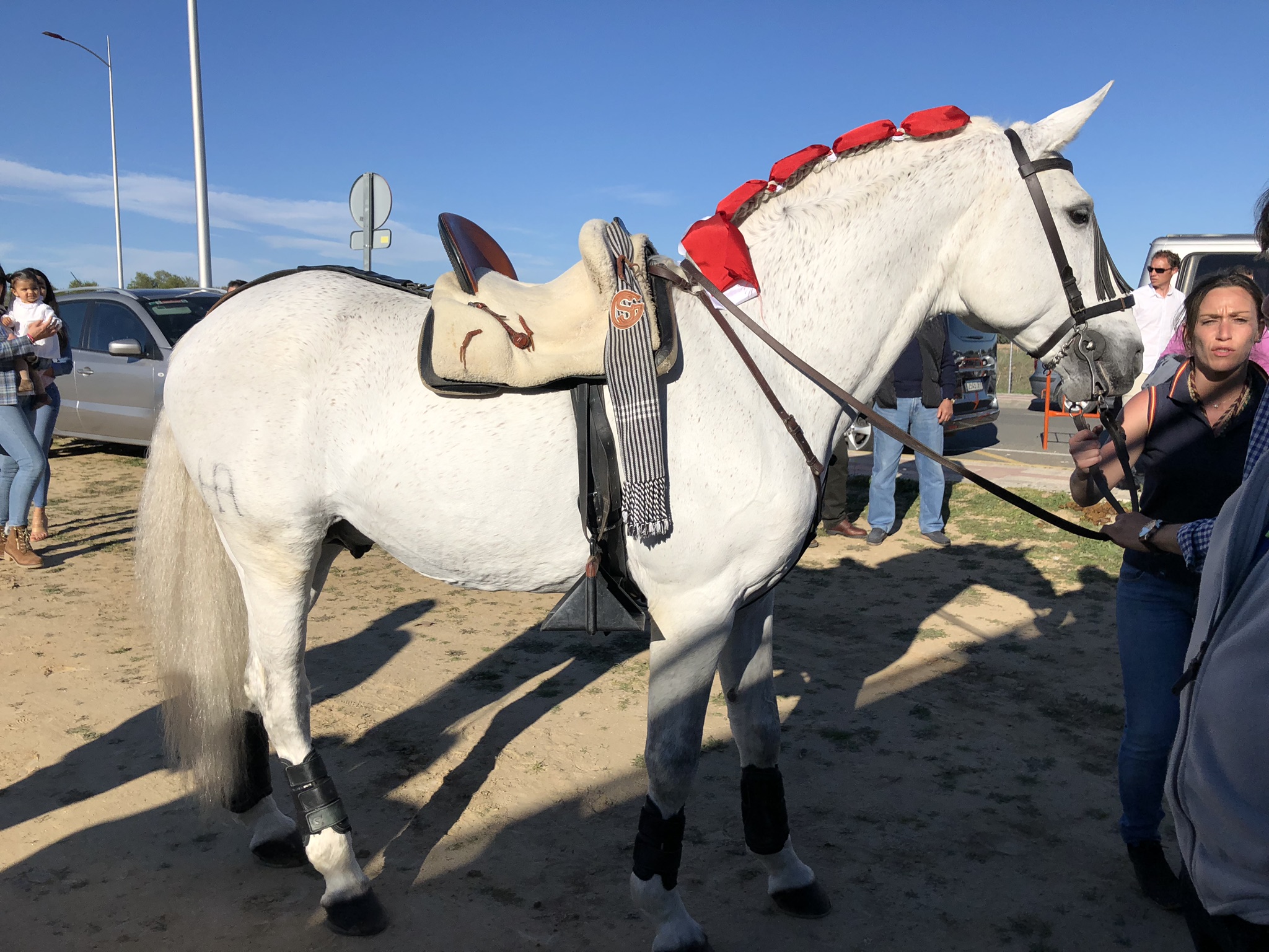 Titán - Sergio Galán