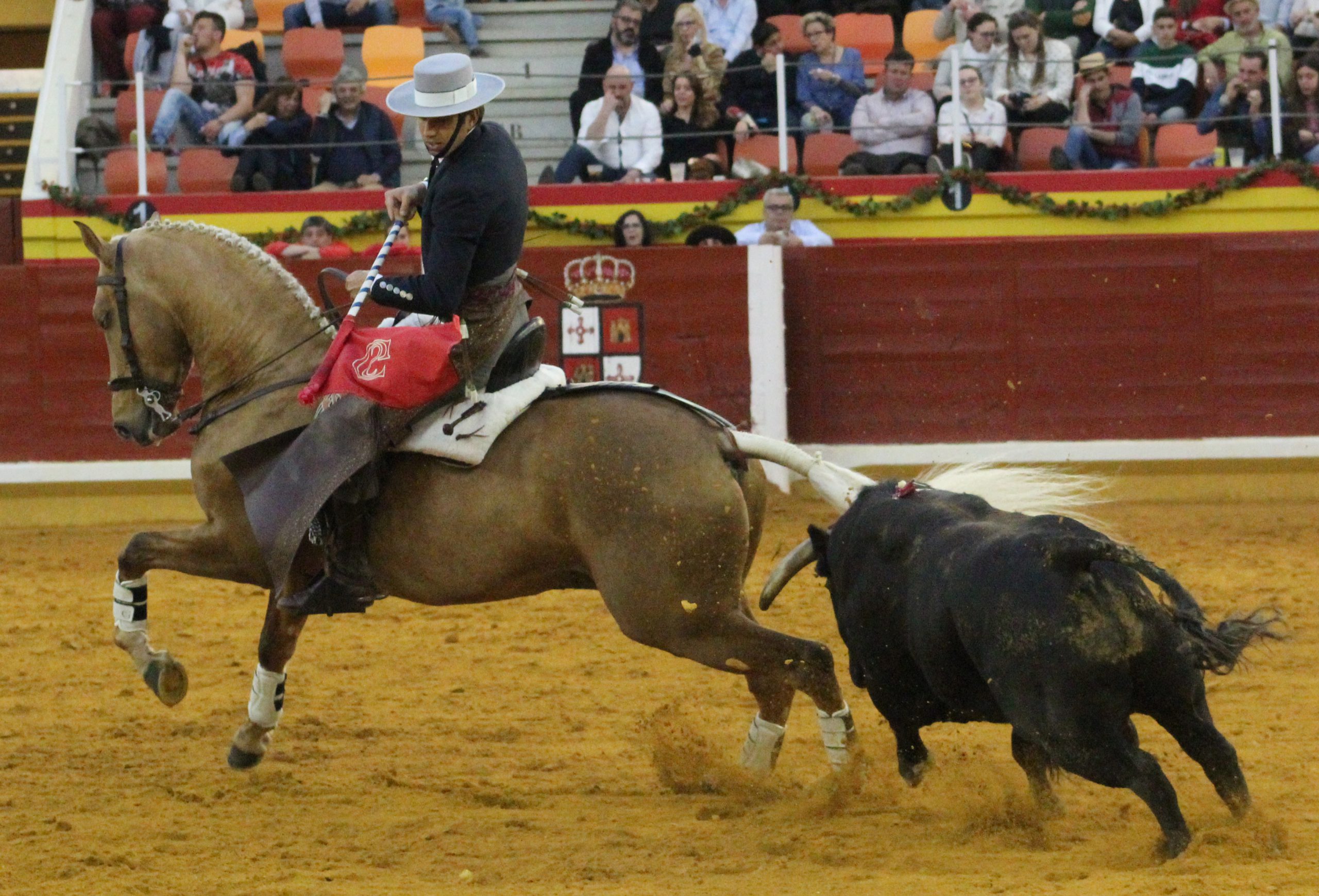 Cuadra de caballos de Sergio Galán rejoneador torero